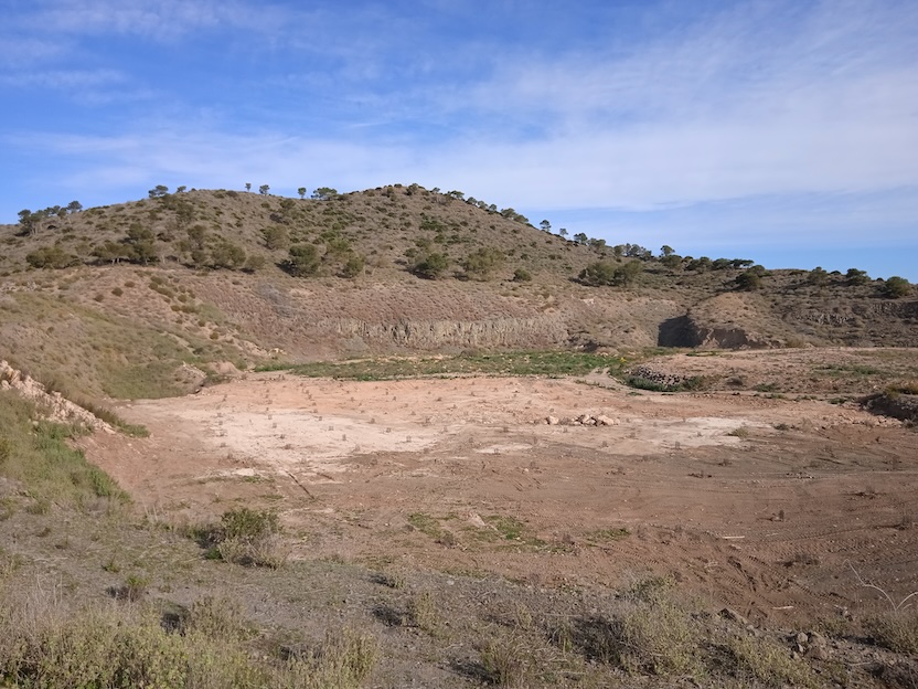 Avanza la recuperación ambiental de la antigua cantera del Cabezo ...